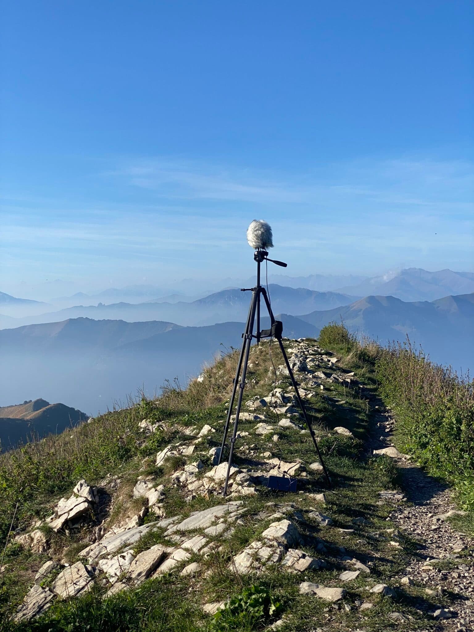 What is Cymatics: Sound made Visible - Flower of Sound